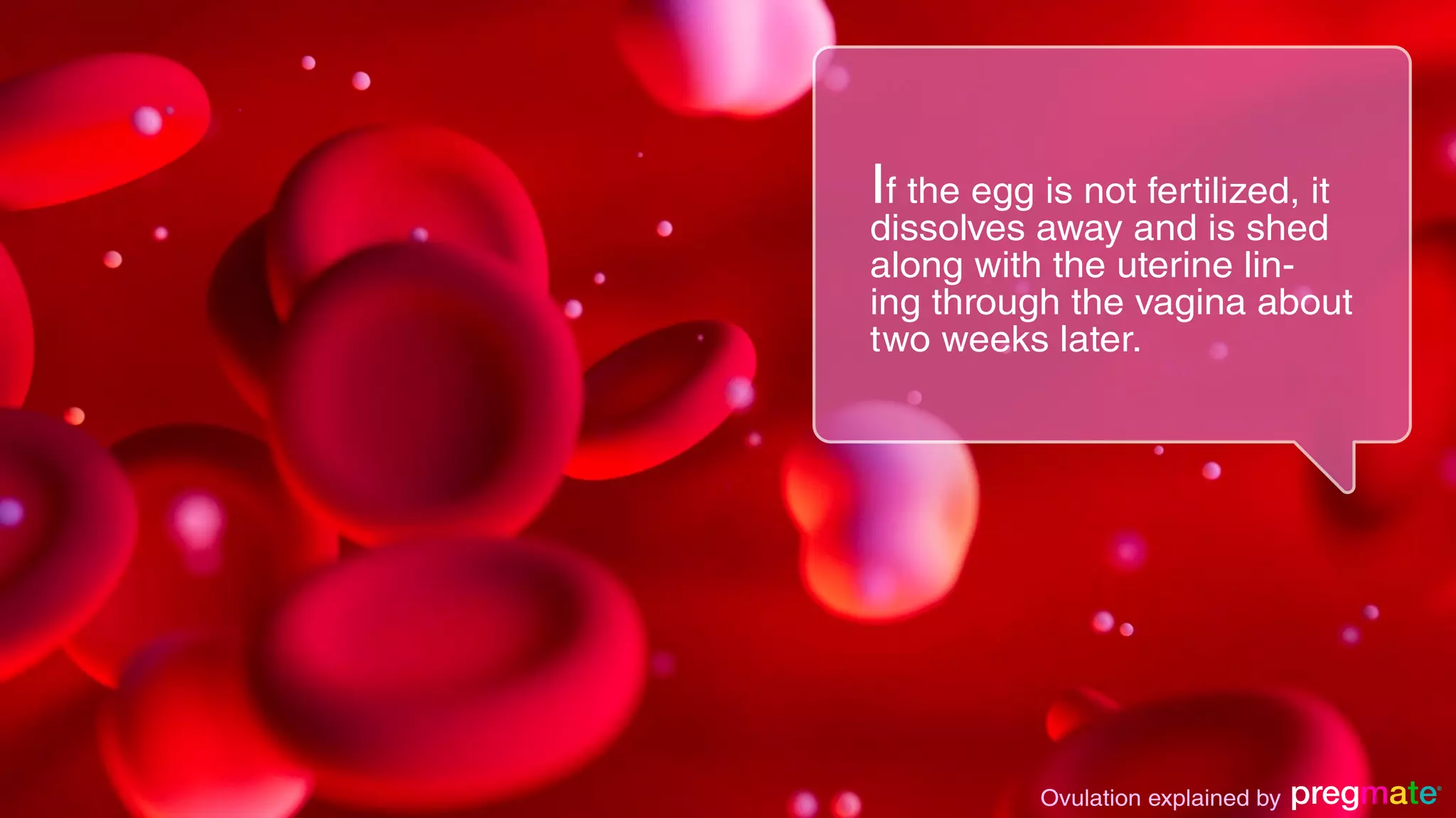 What is Ovulation and how it works? | Ovulation explained | PDF