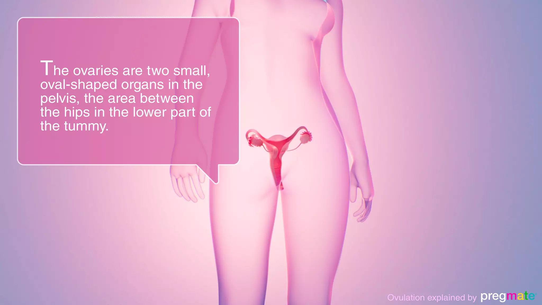 What Is Ovulation And How It Works Ovulation Explained Pdf
