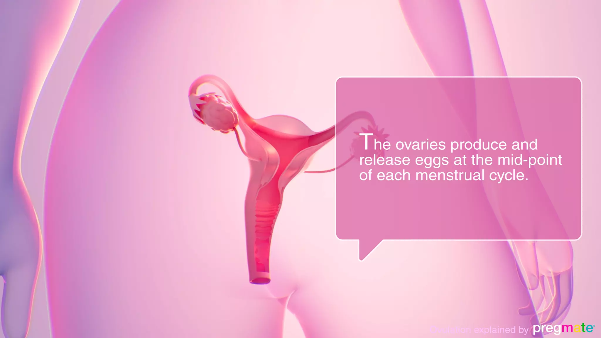 What Is Ovulation And How It Works Ovulation Explained Pdf
