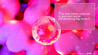 What is Ovulation and how it works? | Ovulation explained | PDF