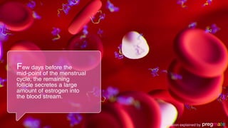 What is Ovulation and how it works? | Ovulation explained | PDF