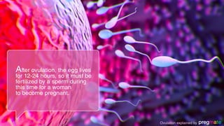 What is Ovulation and how it works? | Ovulation explained | PDF