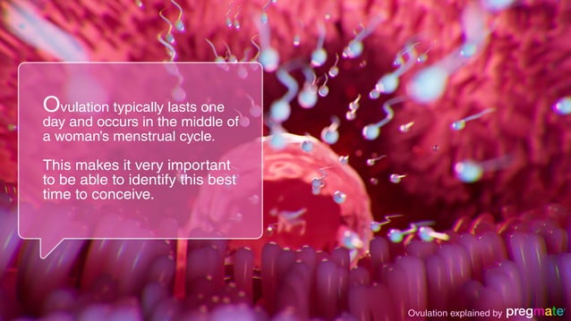 What is Ovulation and how it works? | Ovulation explained | PDF