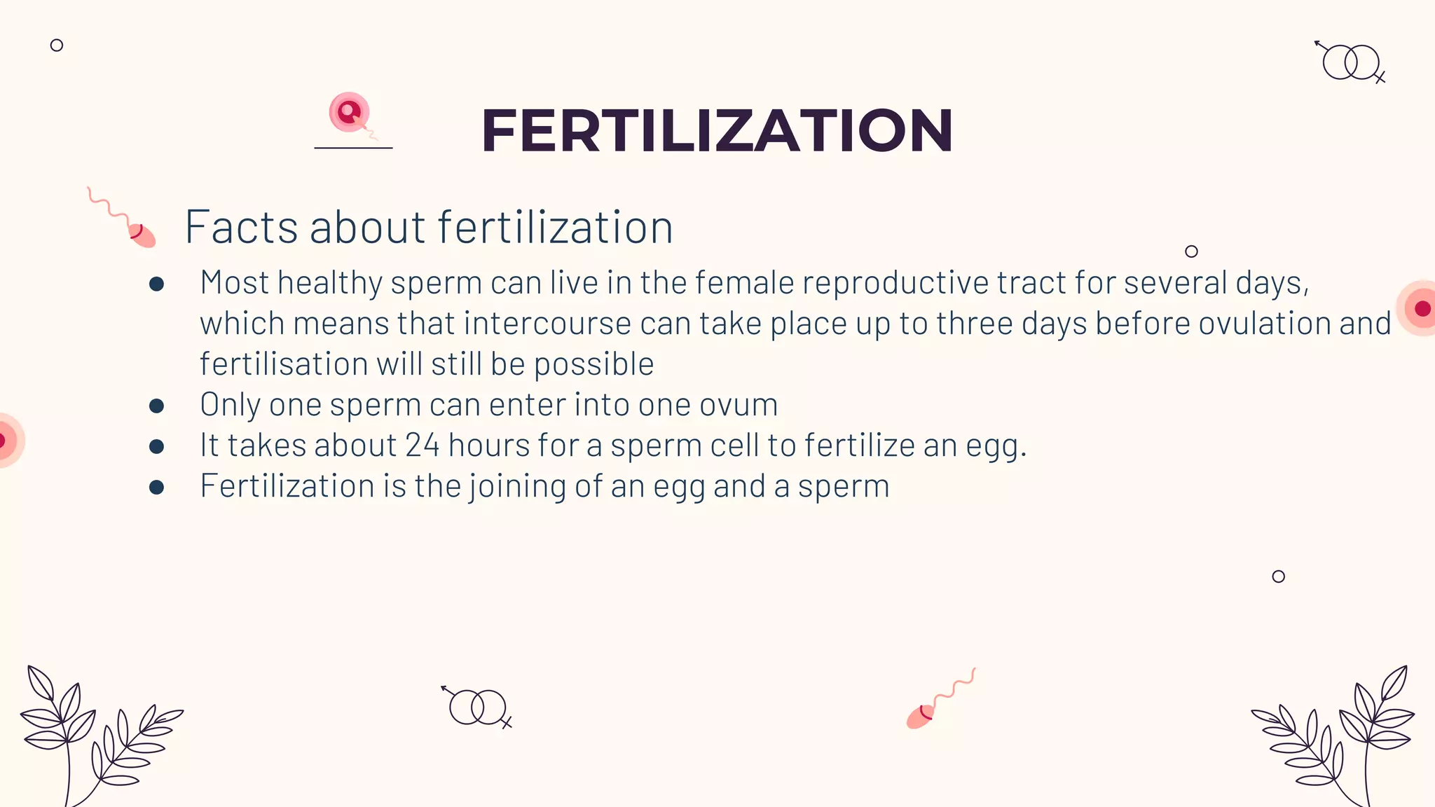 ovulation, fertilization and implantation.pptx | Pregnancy | Reproductive Health