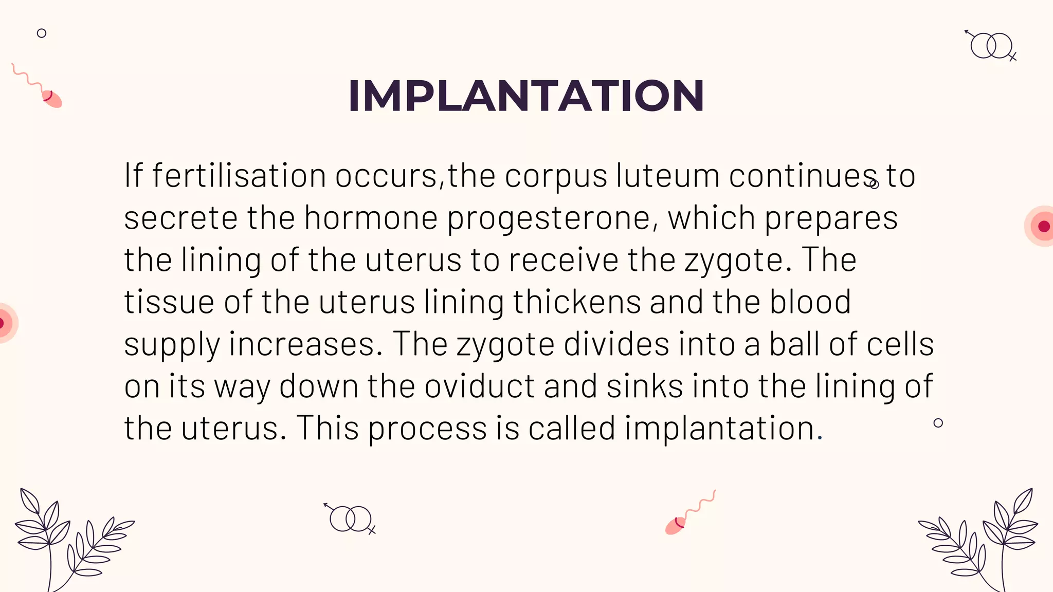 ovulation, fertilization and implantation.pptx | Pregnancy ...