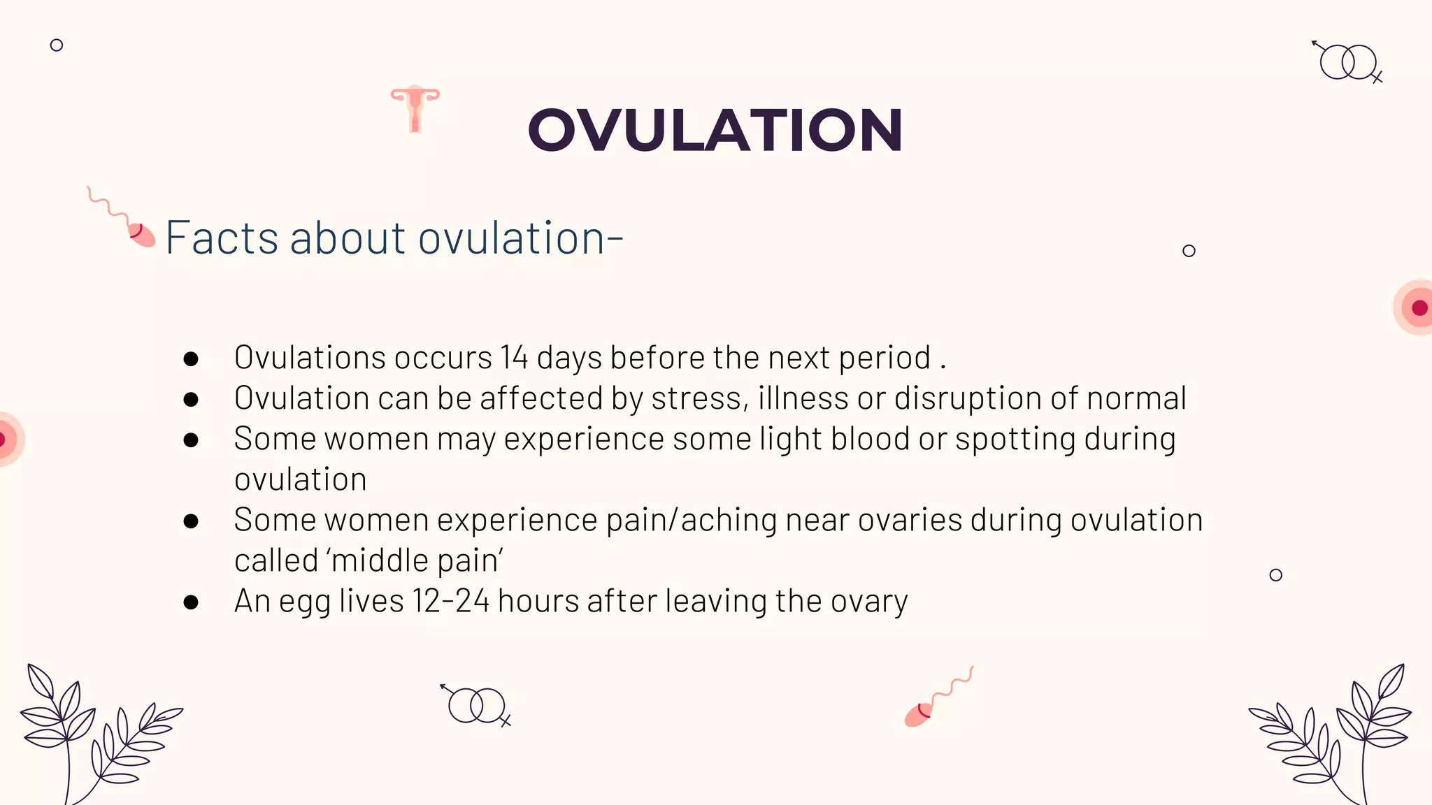 ovulation, fertilization and implantation.pptx | Pregnancy ...
