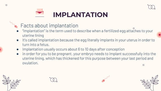 ovulation, fertilization and implantation.pptx | Pregnancy ...
