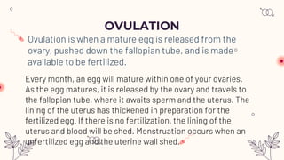 ovulation, fertilization and implantation.pptx