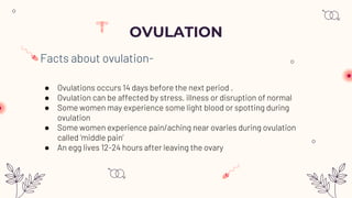 ovulation, fertilization and implantation.pptx | Pregnancy ...