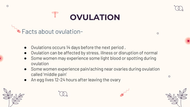 ovulation, fertilization and implantation.pptx | Pregnancy ...