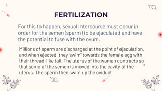 ovulation, fertilization and implantation.pptx