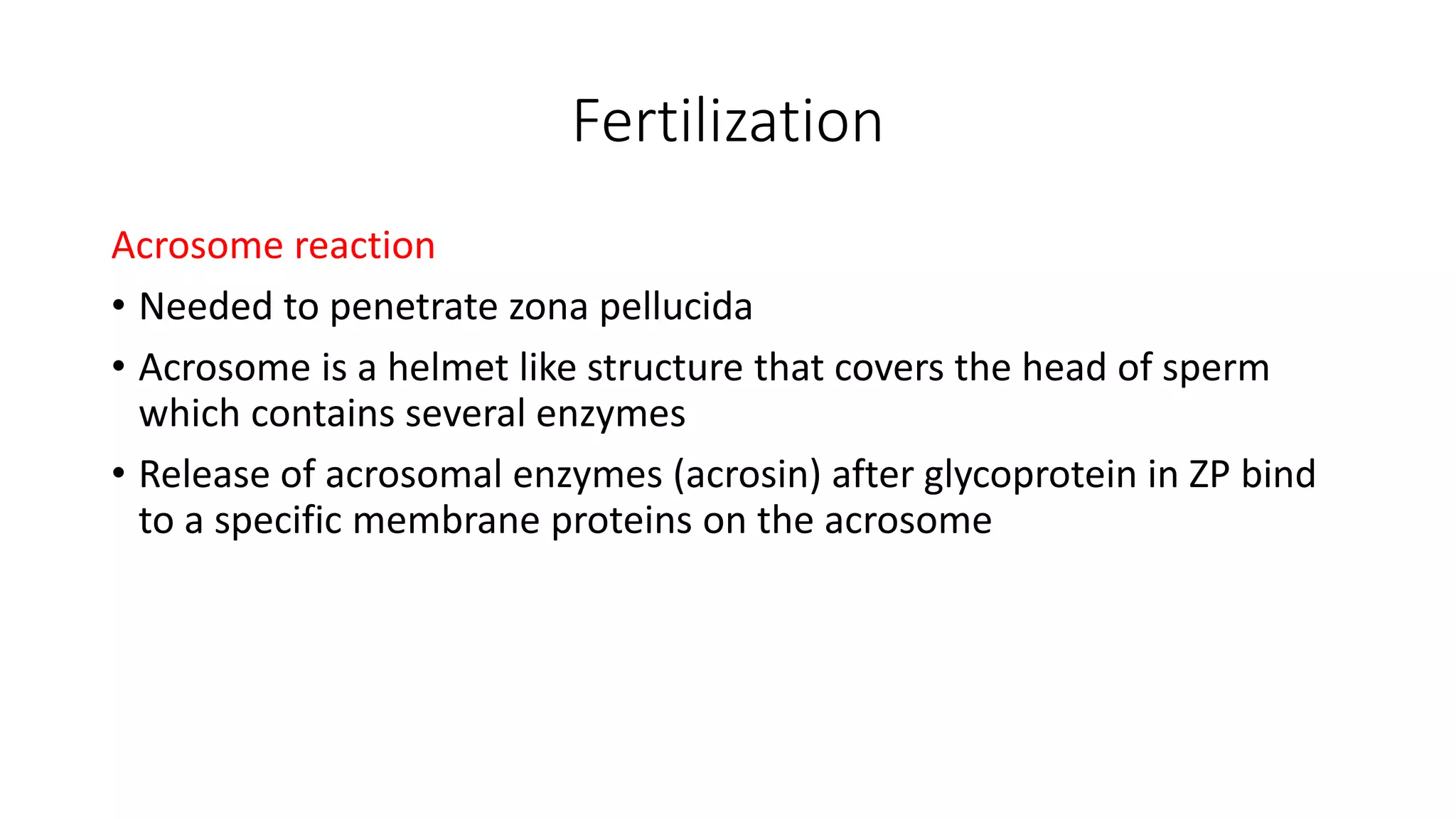 Ovulation, fertilization, implantation (1 st week | PPTX