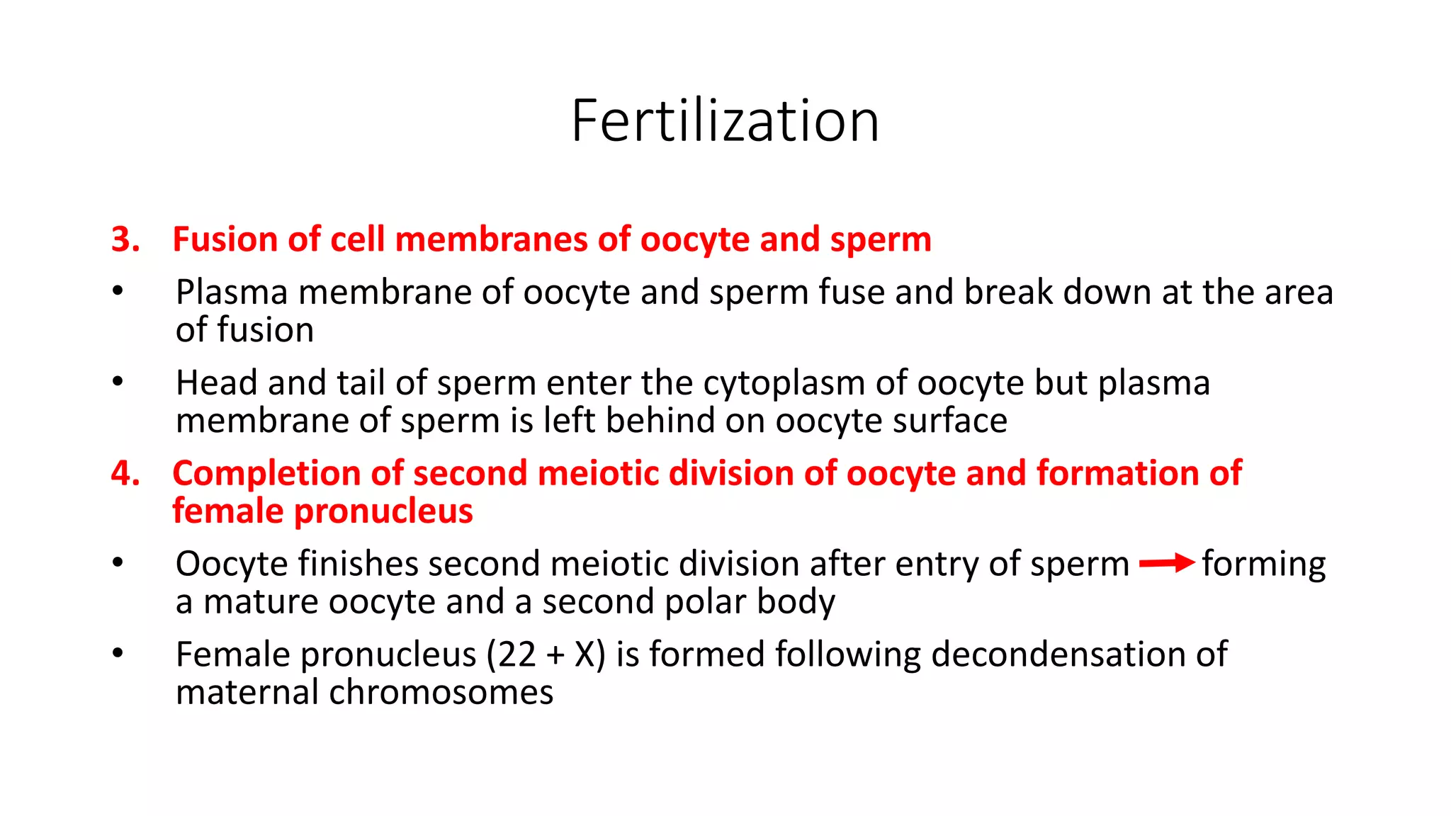 Ovulation, fertilization, implantation (1 st week | PPTX
