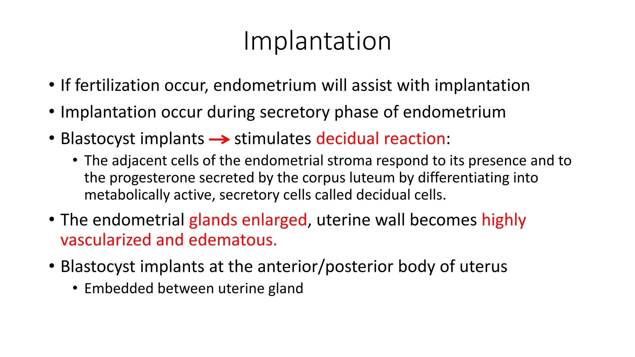 Ovulation, fertilization, implantation (1 st week | PPTX