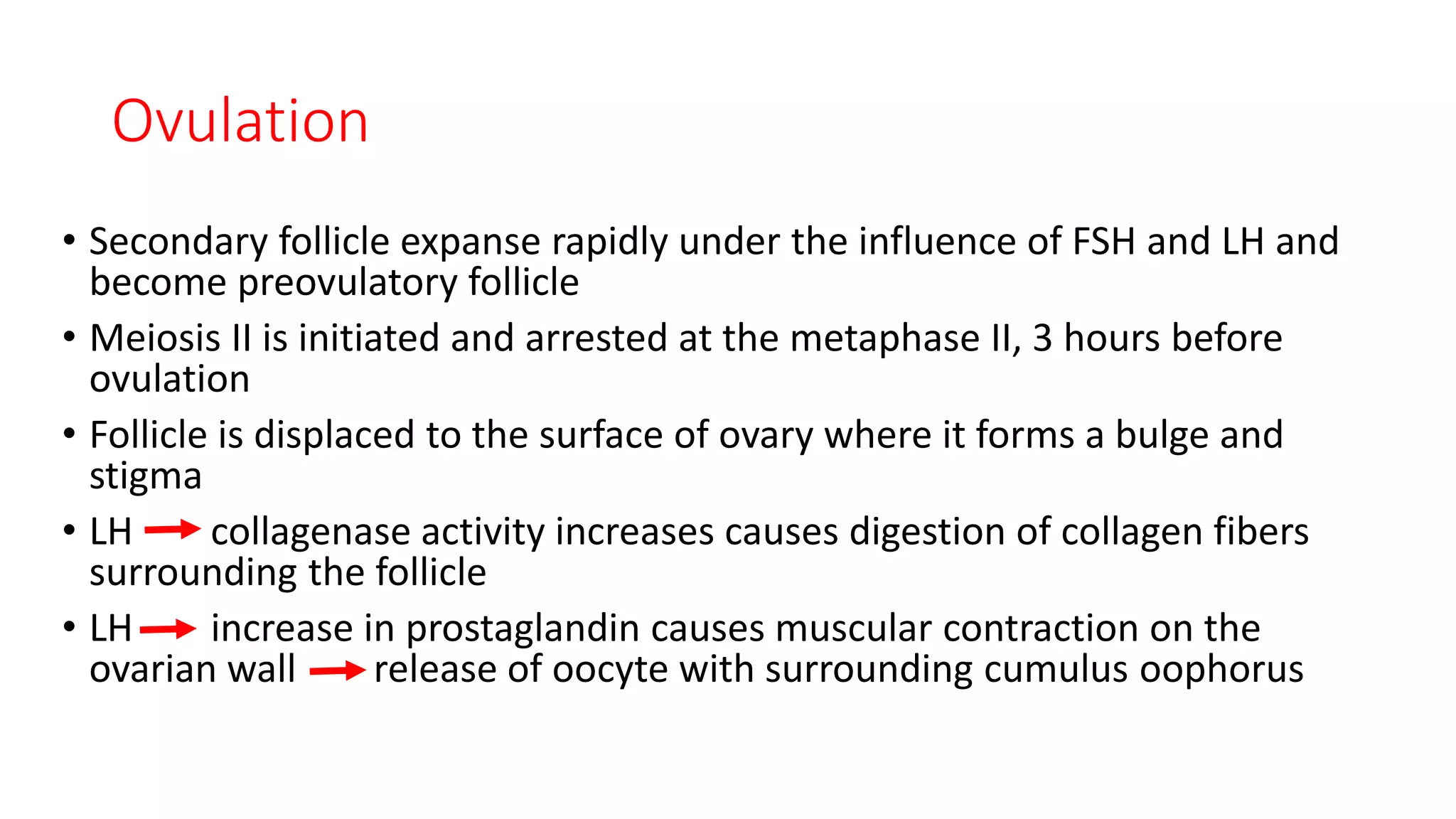 Ovulation, fertilization, implantation (1 st week | PPTX
