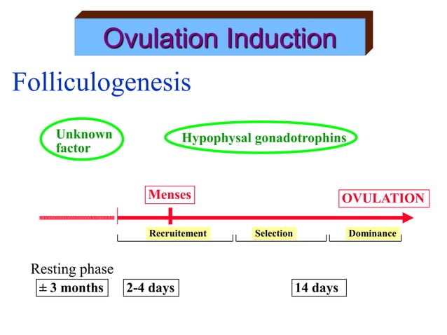 Algorithms for Ovulation induction protocols (Assisted reproductive ...