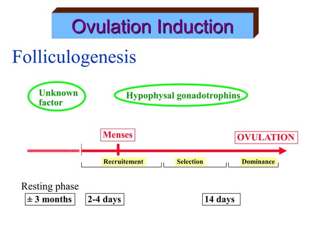 Optimal protocols for Ovulation induction (Assisted Reproductive ...