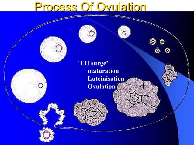 Optimal protocols for Ovulation induction (Assisted Reproductive ...