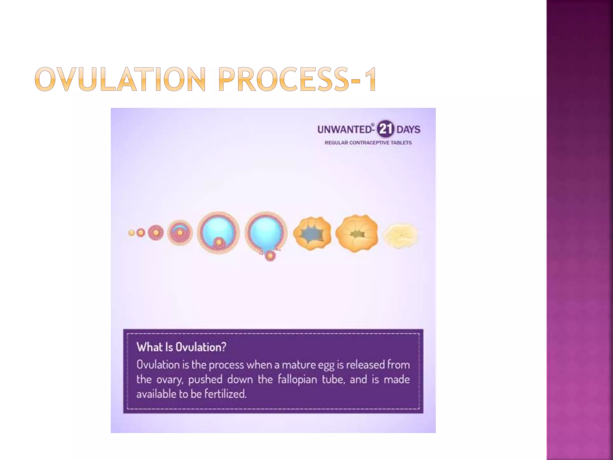 Information about Ovulation and contraceptive tablets | PPTX