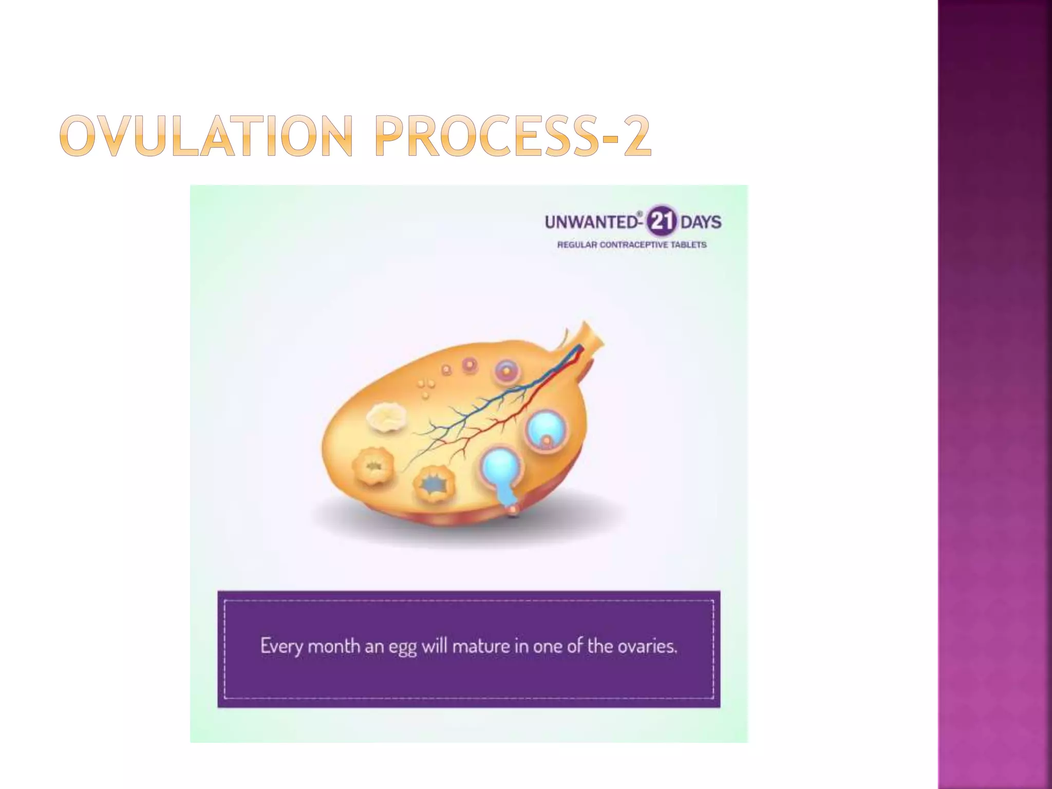 Information about Ovulation and contraceptive tablets | PPTX