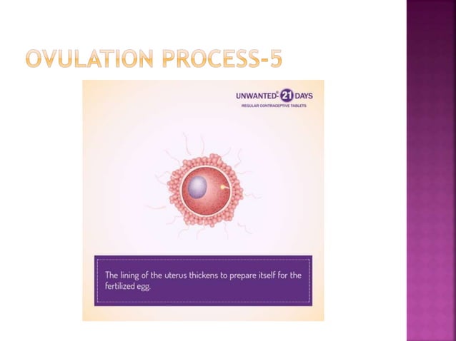 Information about Ovulation and contraceptive tablets | PPTX