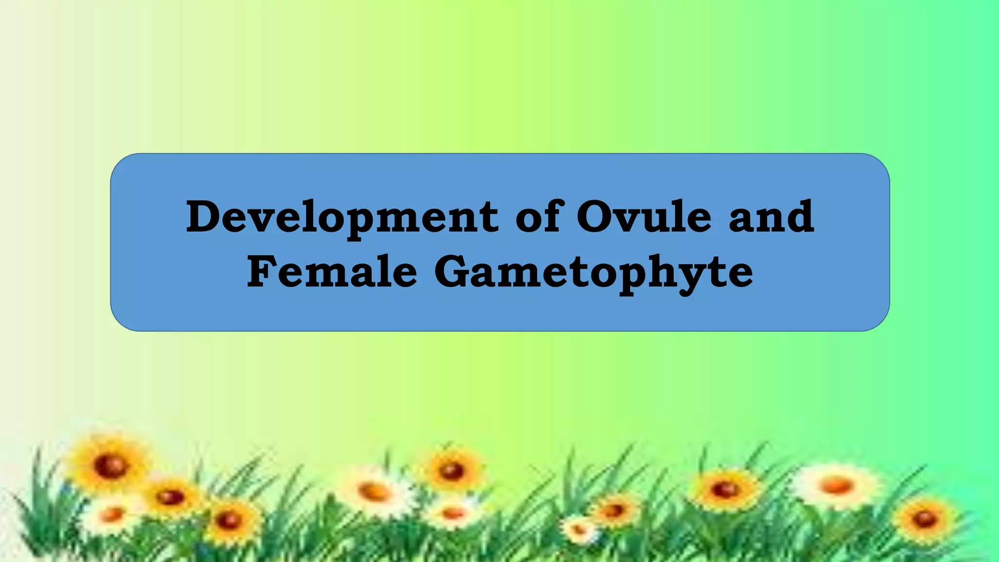 Development of Ovule inside the ovary. Topic from Plant and Animal ...