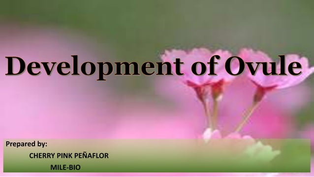 Development of Ovule inside the ovary. Topic from Plant and Animal ...