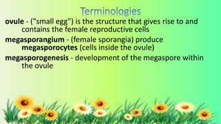 Development of Ovule inside the ovary. Topic from Plant and Animal ...