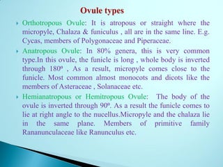 Ovule structure of Plants & Types of Ovules | PDF