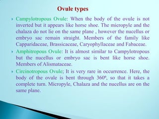 Ovule structure of Plants & Types of Ovules | PDF
