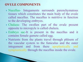 Ovule structure of Plants & Types of Ovules | PDF