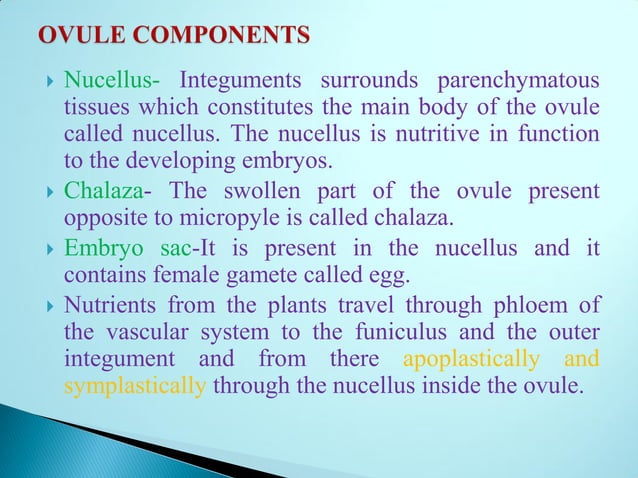 Ovule structure of Plants & Types of Ovules | PDF | Infertility | Reproductive Health