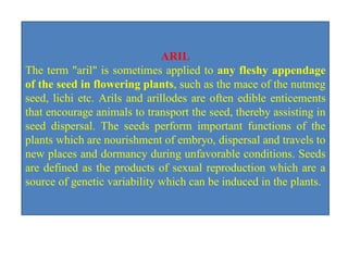 Megaspore-Structure & Speciality | PDF