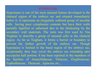Megaspore-Structure & Speciality | PDF