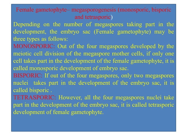 Megaspore-Structure & Speciality | PDF