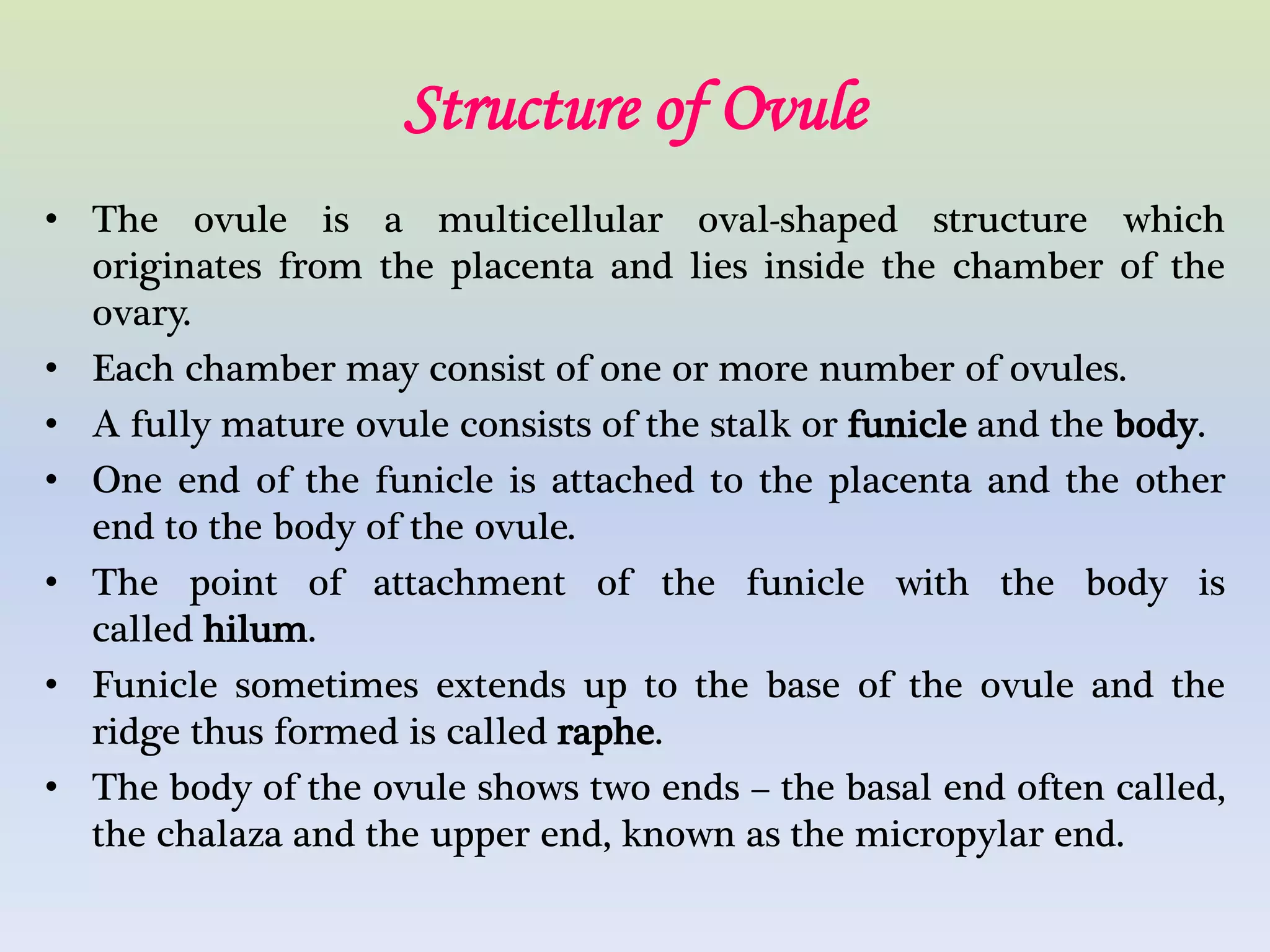 Ovule culture | PPTX