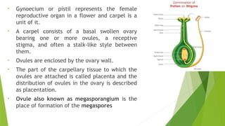 Structure and Types of Ovules_Karunai.pptx