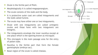 Structure and Types of Ovules_Karunai.pptx