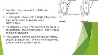 Structure and Types of Ovules_Karunai.pptx