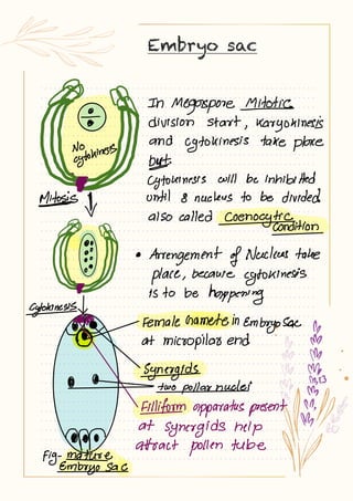Ovule Structure, Types & Embryo Notes for Botany Semester Students | PDF