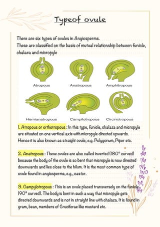 Ovule Structure, Types & Embryo Notes for Botany Semester Students | PDF