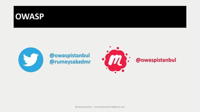 Burp Suite SQL Injection Attack | OWASP Istanbul | PPT