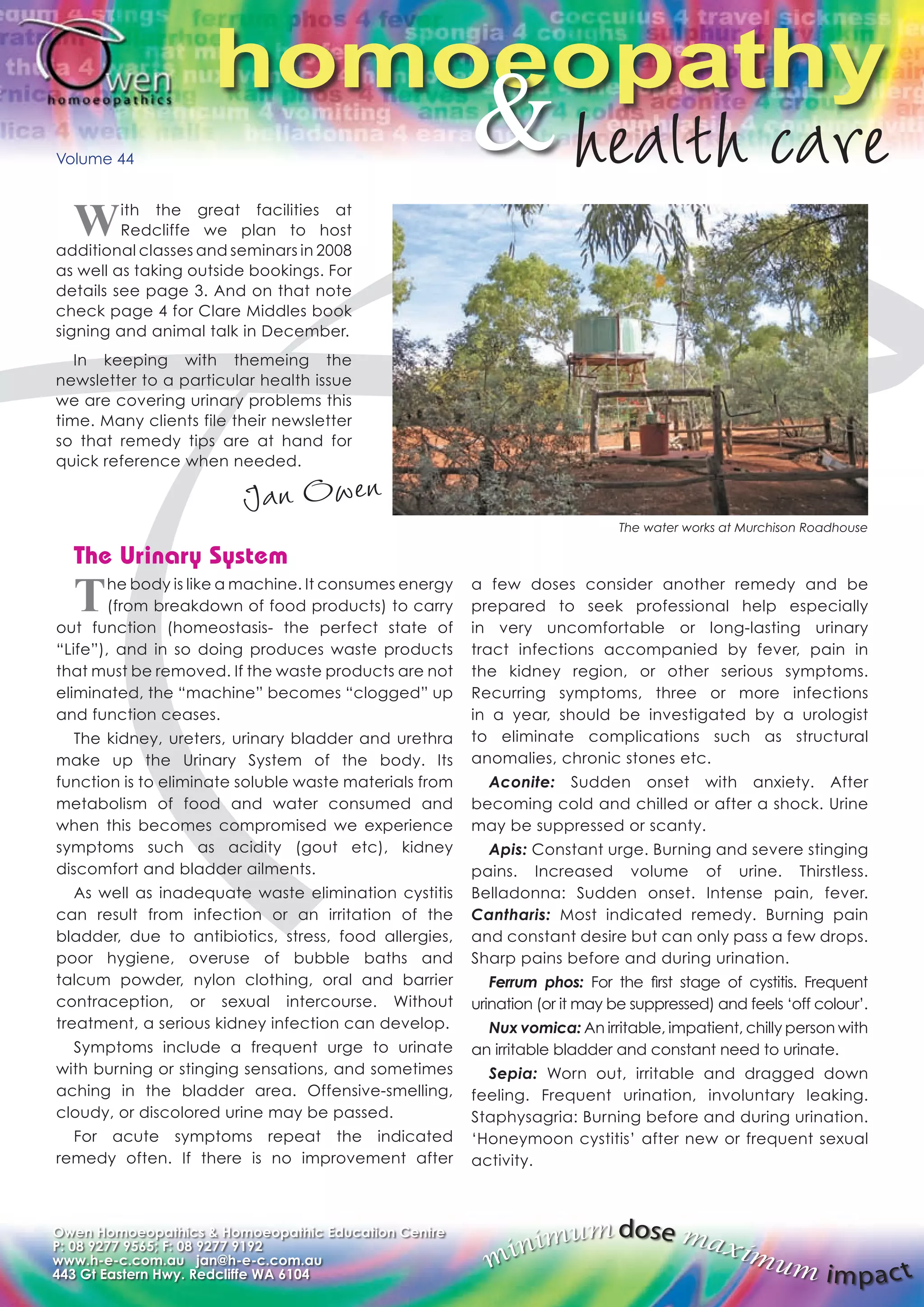 Urinary System | PDF