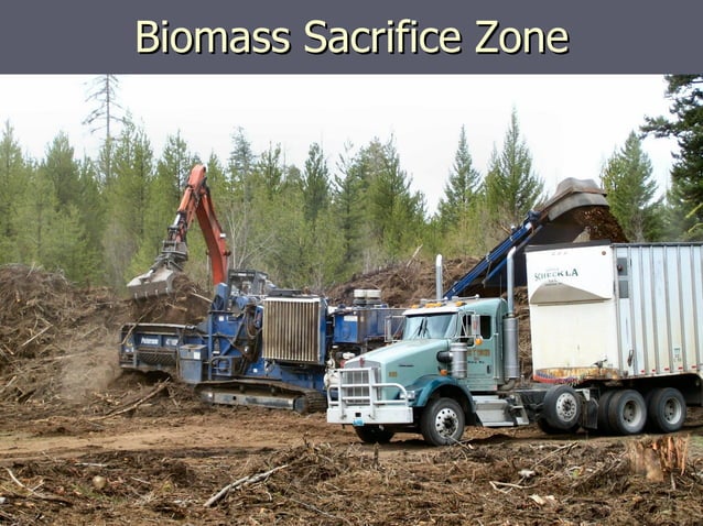 Forest Biomass Presentation | PPT | Woodworking | Arts and Crafts