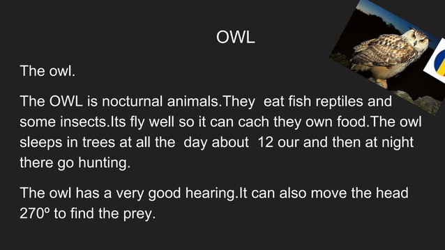 Owl | PPT