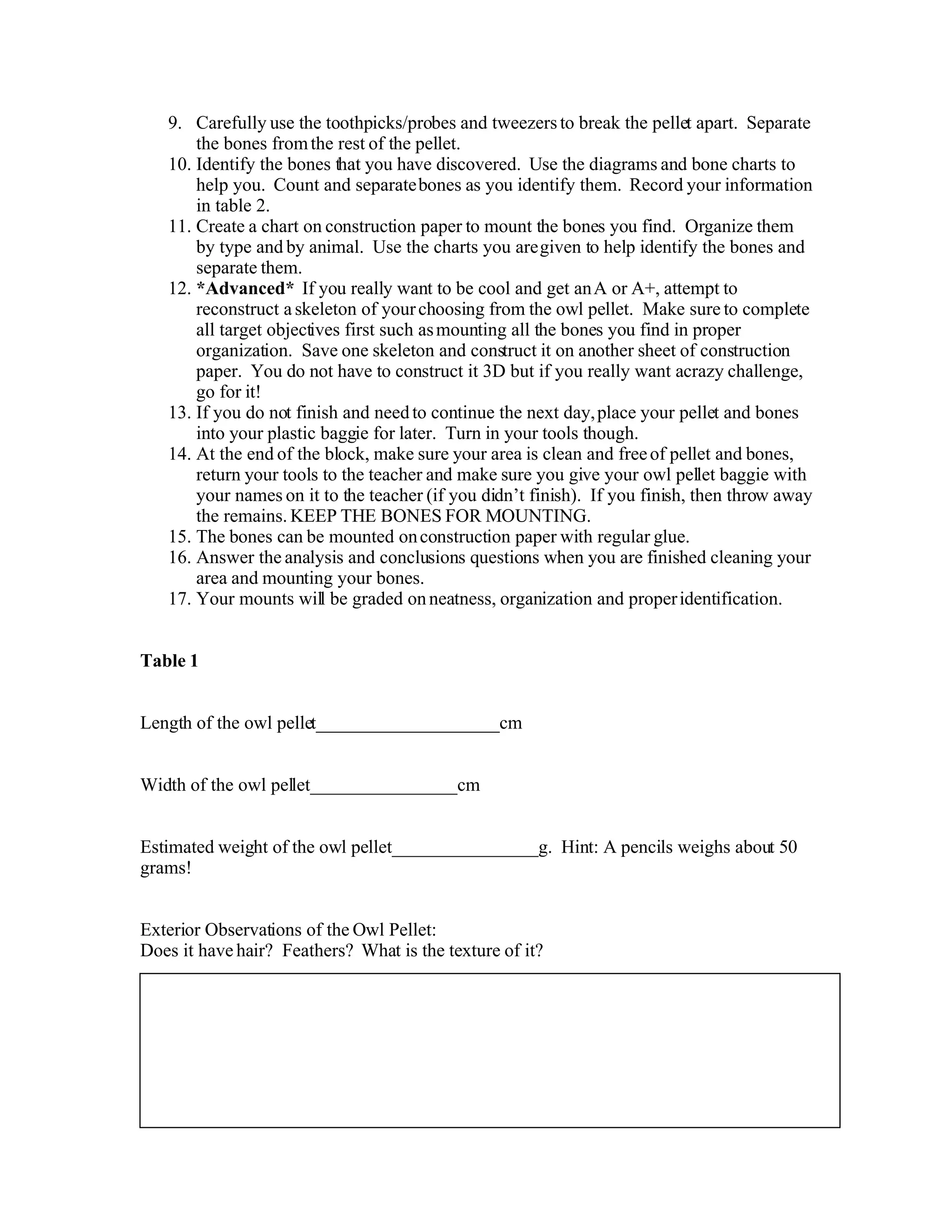 Owl Pellet Lab | DOC | Birdwatching | Hobbies & Interests