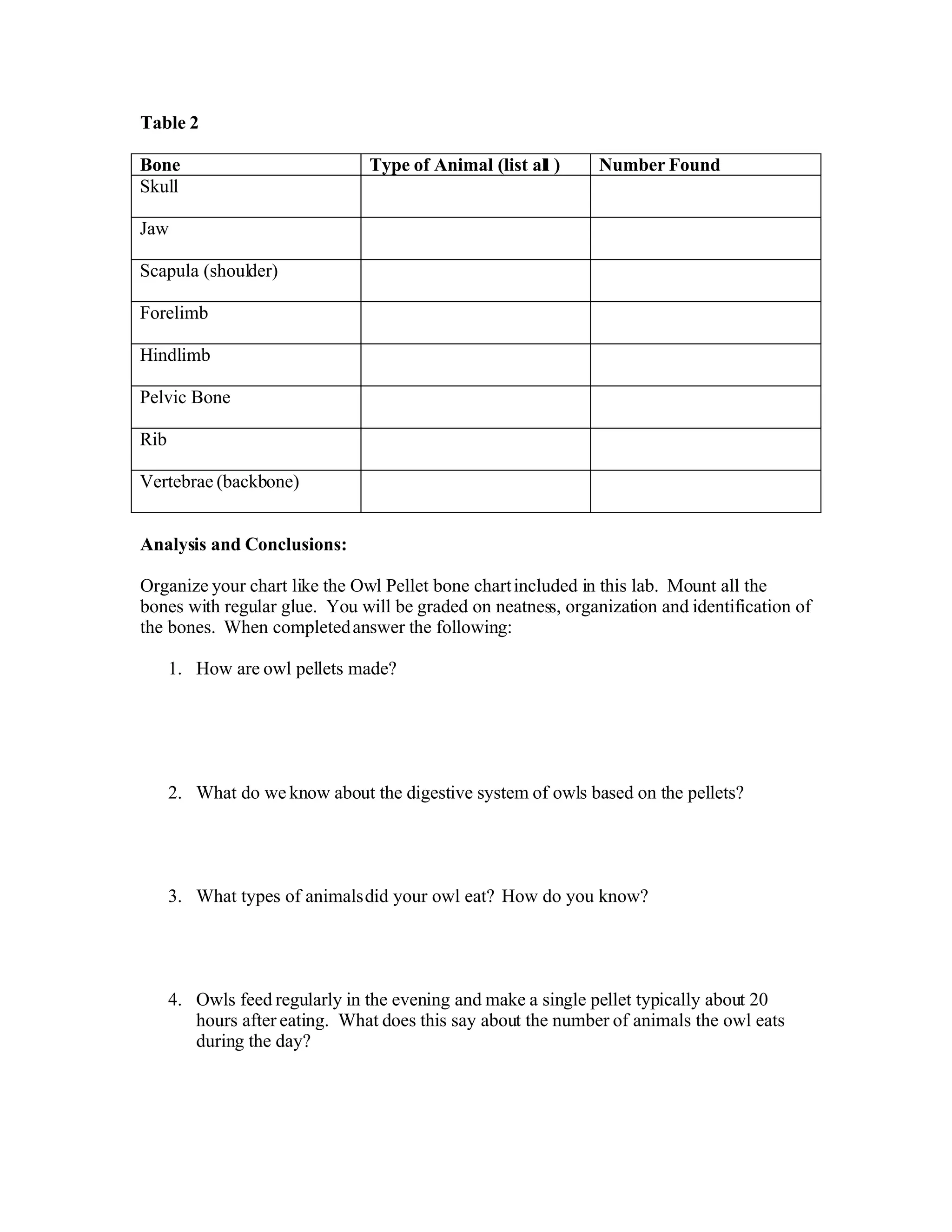 Owl Pellet Lab | DOC | Birdwatching | Hobbies & Interests