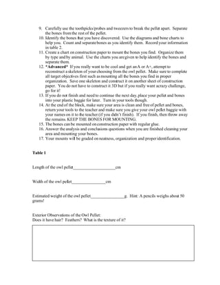 Owl Pellet Lab | DOC | Birdwatching | Hobbies & Interests