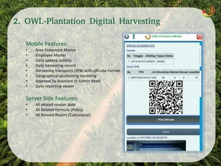 OWL-Plantation_2022.pdf