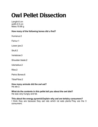 Owl pellet dissection | ODT